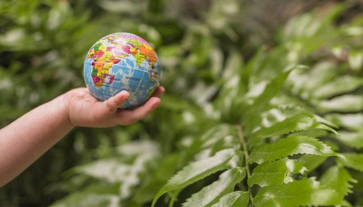 5 tips esenciales para proteger el Medio Ambiente